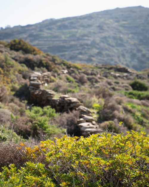 Syros hike from Papouri to Varvaroussa and Kini Beach - Explore Syros ...