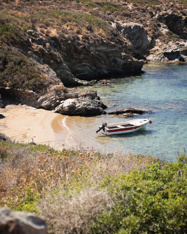 Best things to do in Andros: a complete guide + hidden gems and tips ...